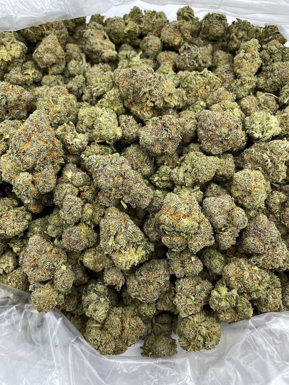 Coconut Cream Pie - skunklamedia.com