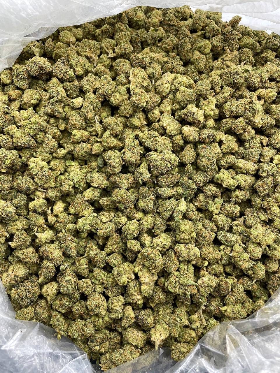 Fizzy Pop Rocks - skunklamedia.com