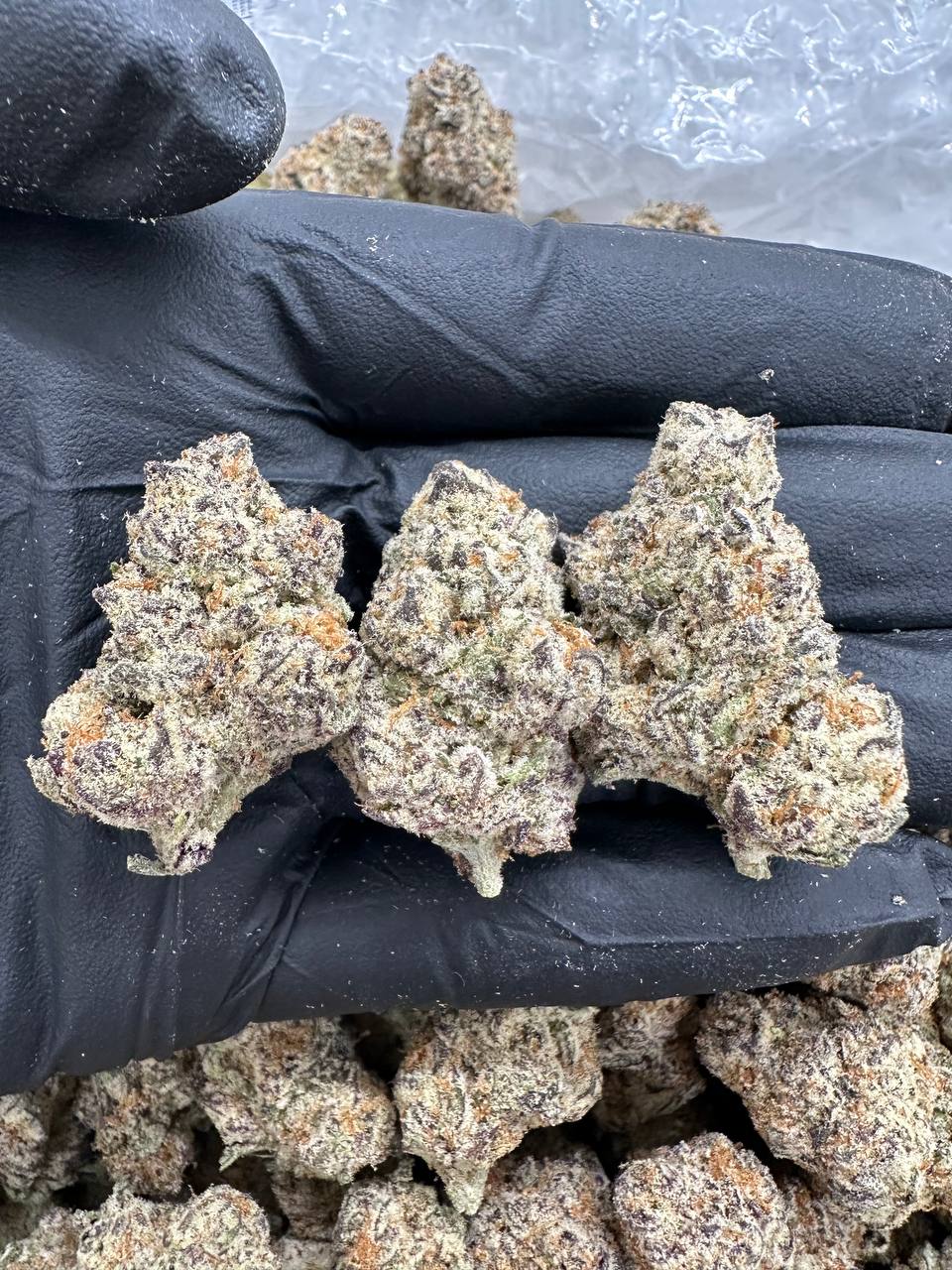 Hawaiian Punch strain - skunklamedia.com