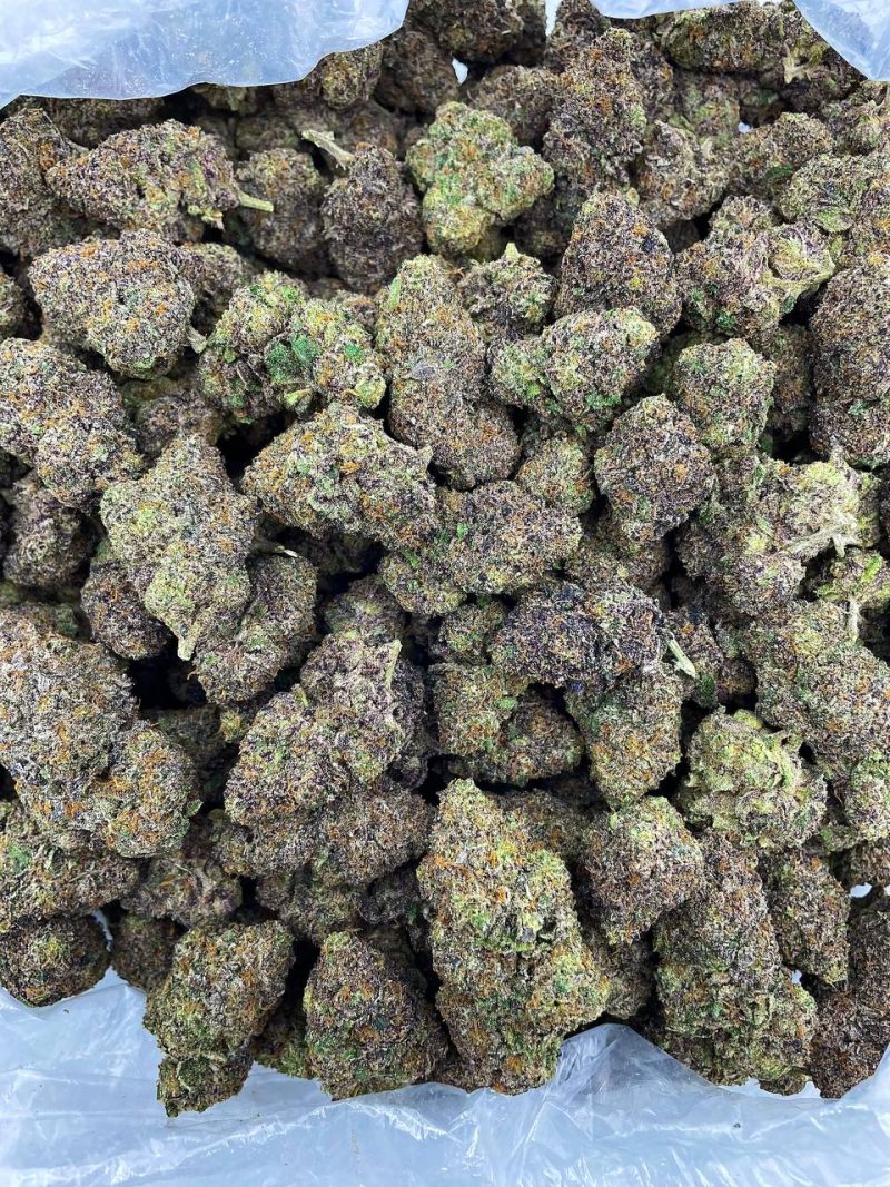 PM X RS11 Strain - Skunklamedia.com