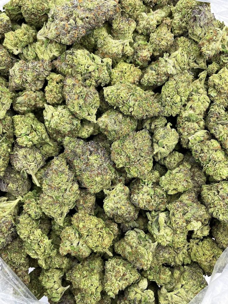 Grape Ape Surprise Strain - Skunklamedia.com