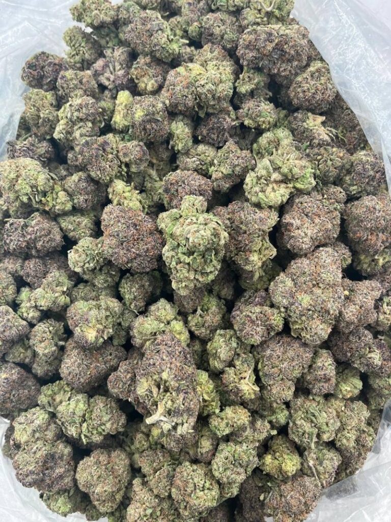Fruit Snacks Strain - Skunklamedia.com