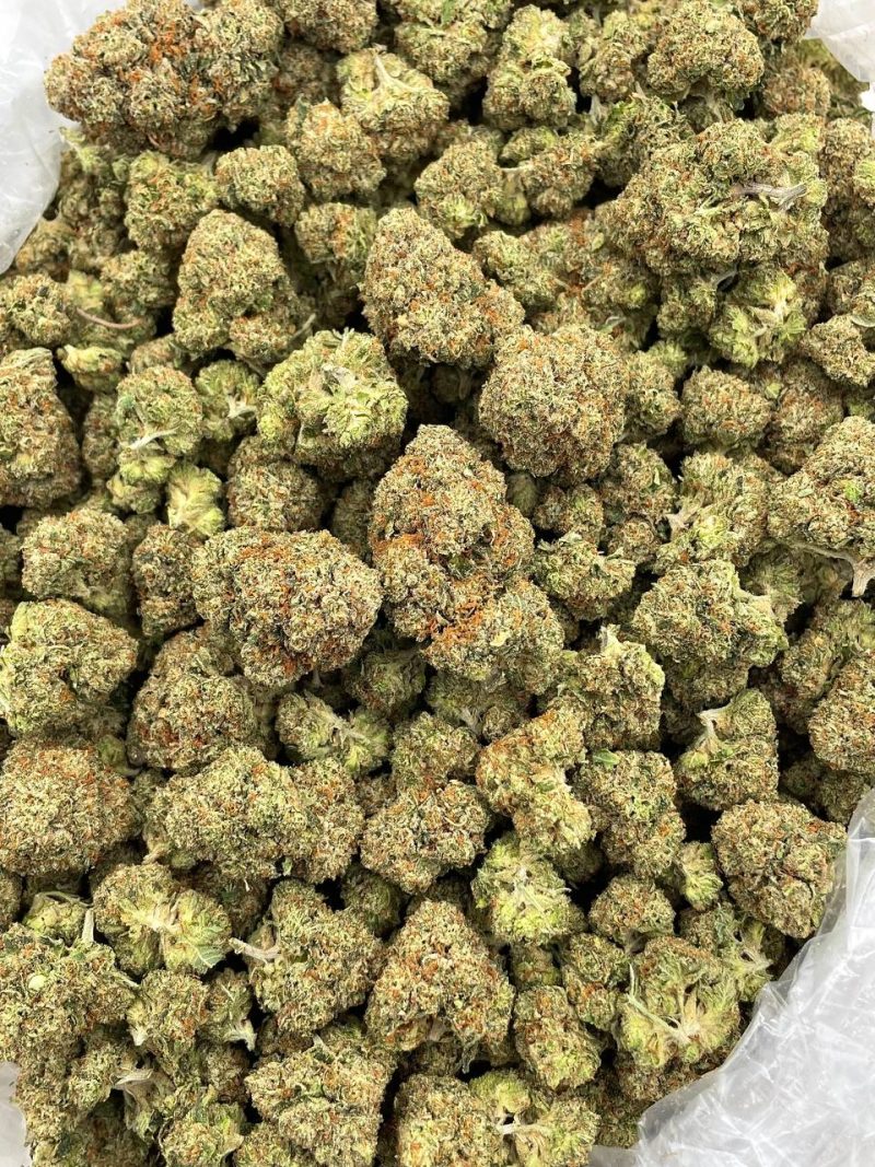 Fire OG Strain - Skunklamedia.com